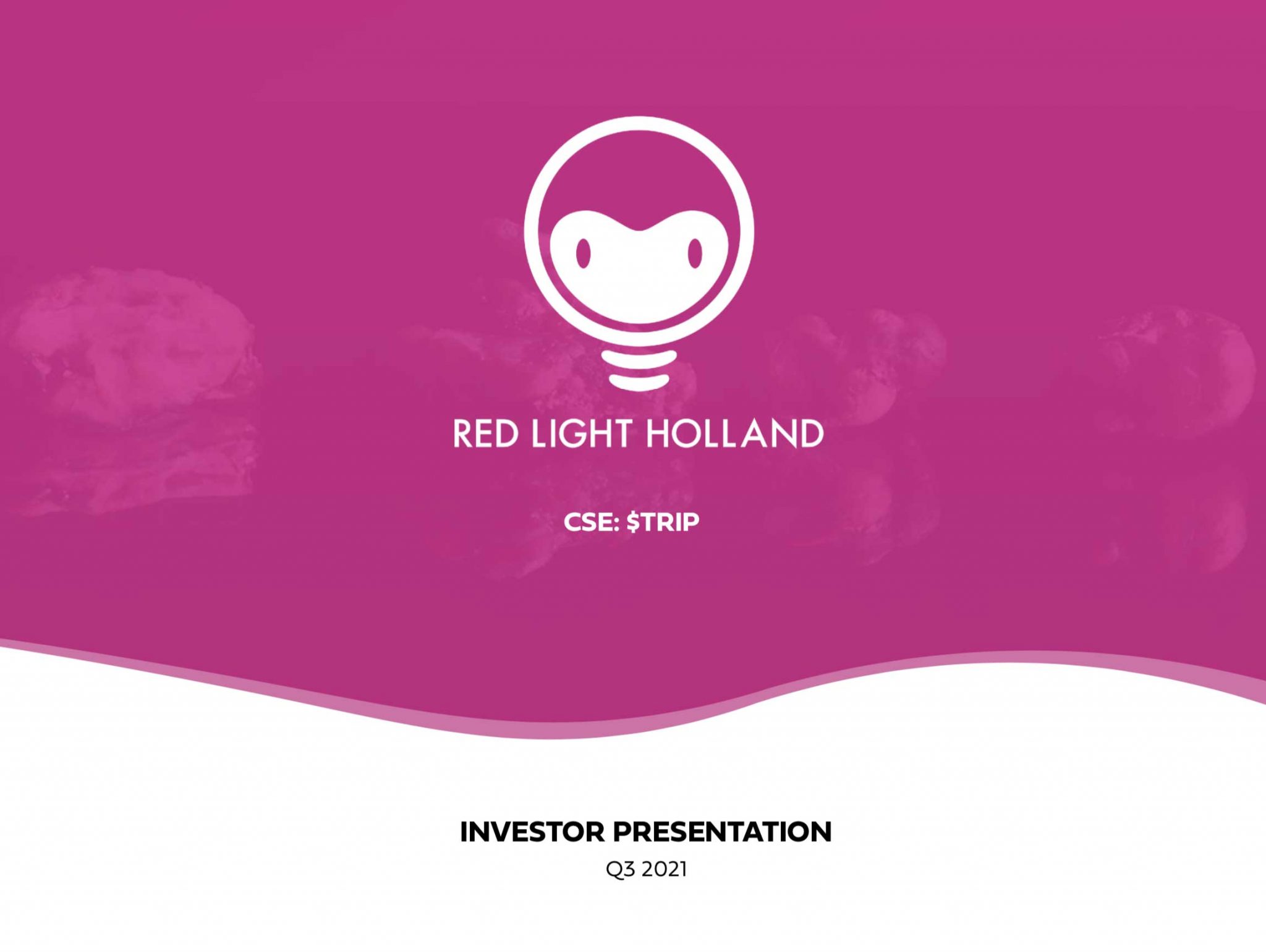 Red Light Holland - Underground To Mainstream